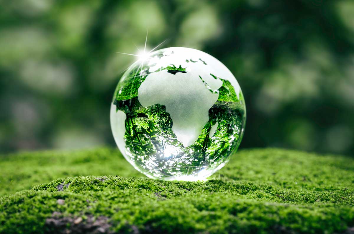 TFS Earns Elevated Score from Carbon Disclosure Project (CDP) - TFS ...