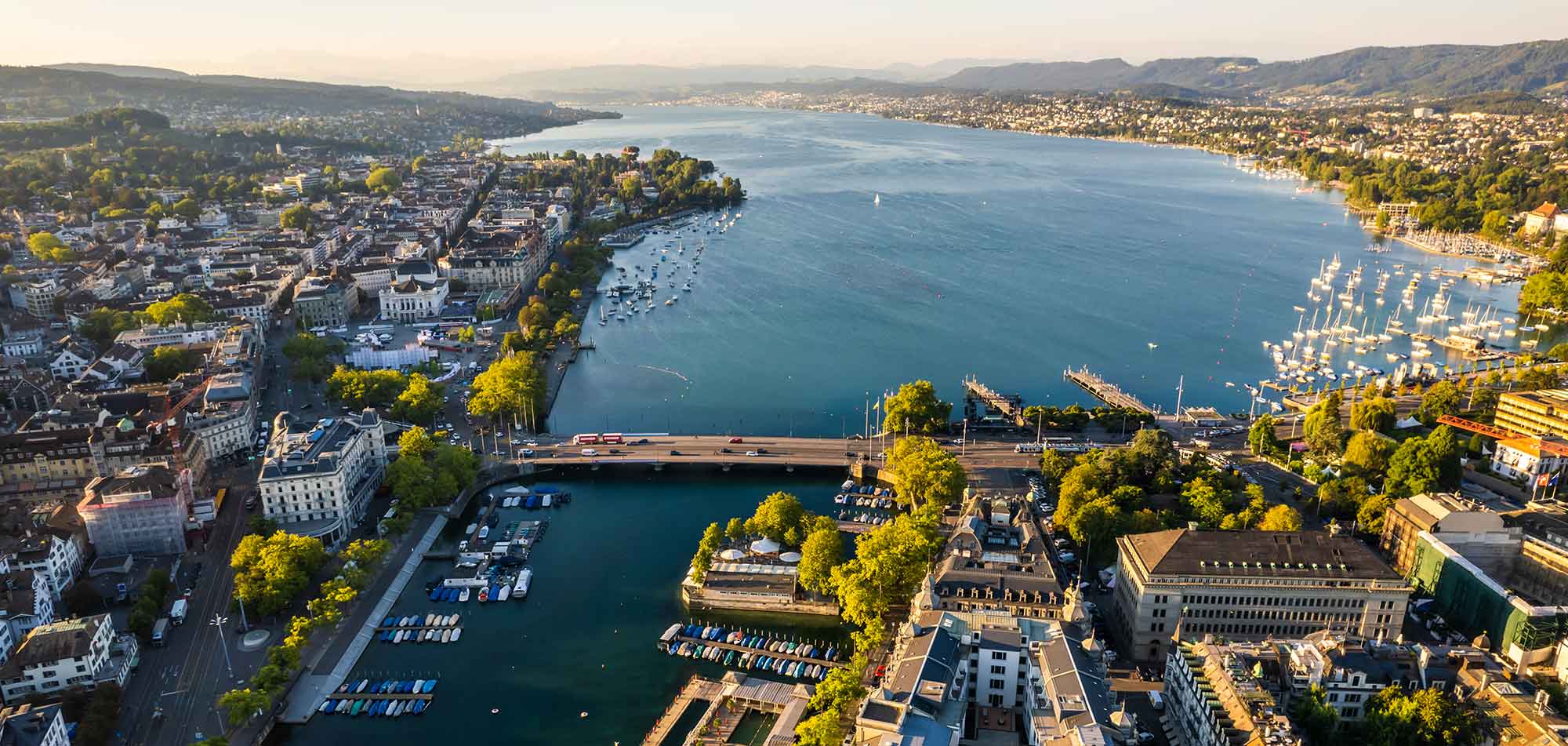 Swiss Nordic Bio 2025 - TFS HealthScience | Contract Research ...